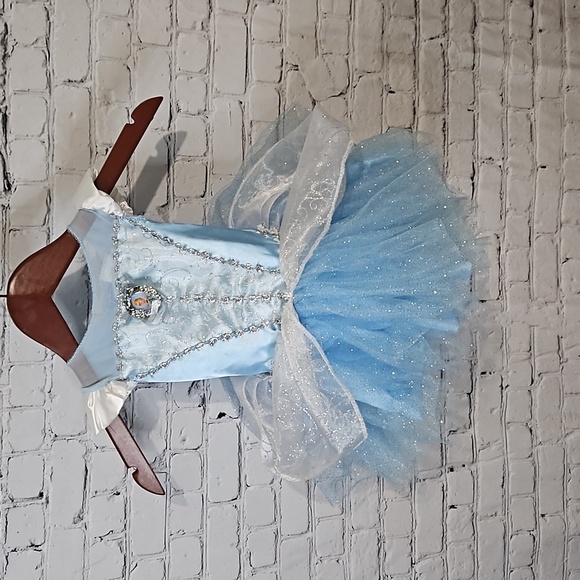 Disney | Costumes | Cinderella Tutu Dress | Poshmark